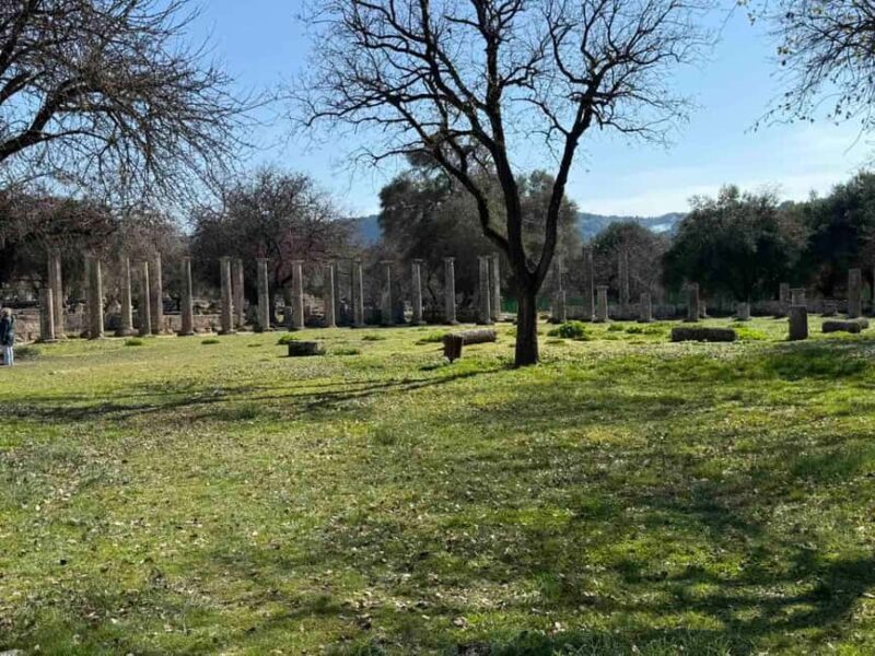 Half Day Private tour from Katakolon to Olympia and Beach - Who Should Consider This Tour?