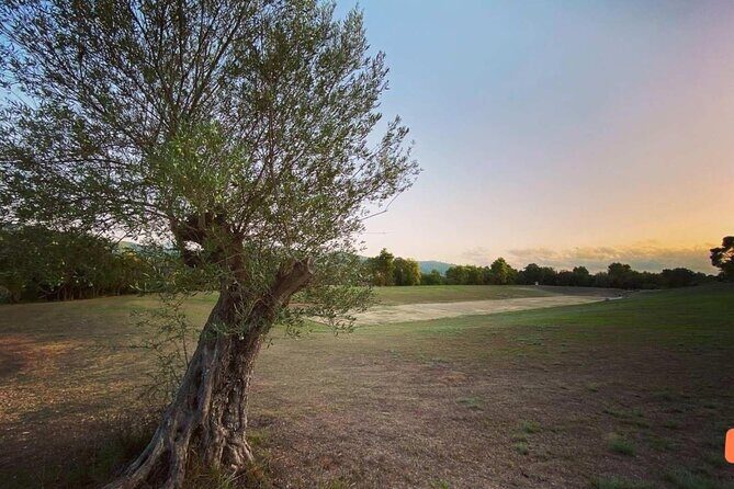 Half-Day Private Tour from Katakolon to Olympia & Beach - Detailed Itinerary Breakdown