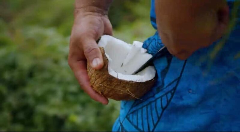 Half day Private tour of Moorea Safari Albert Pick up hotel - Why Choose the Moorea Safari Albert Tour?