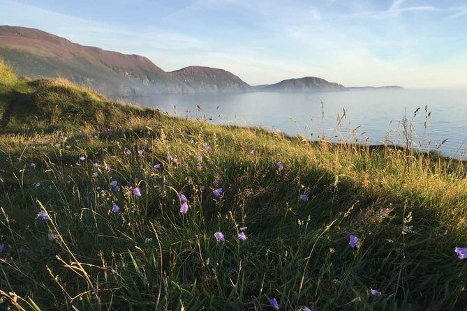 Half day private tours of the Isle of Man with a qualified Driver Guide - The Sum Up: Is This Tour Worth It?