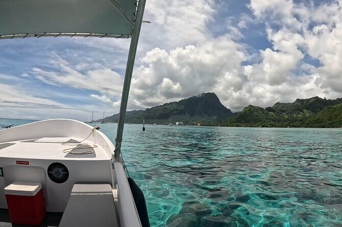 Half Day Private Whale Watching in Moorea - Final Thoughts