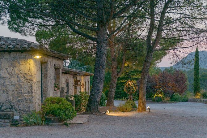 Half Day Private Wine & Oil Tasting Tour near Barcelona with hotel pick up - An In-Depth Look at the Itinerary