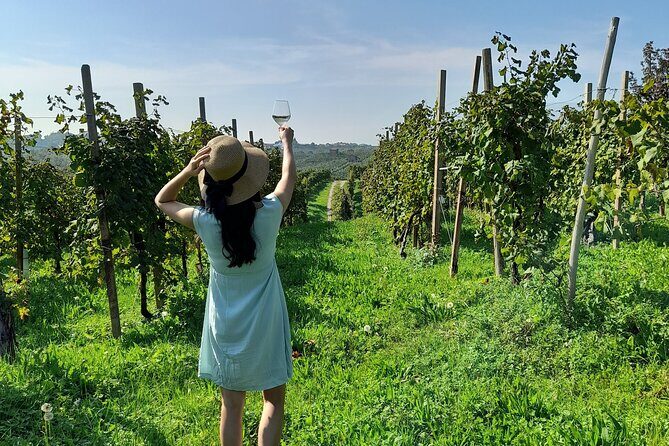 Half Day Prosecco Tour All Inclusive from Conegliano - Key Points