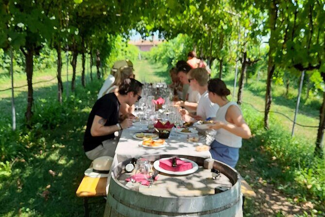 Half Day Prosecco Tour All Inclusive from Conegliano - Frequently Asked Questions
