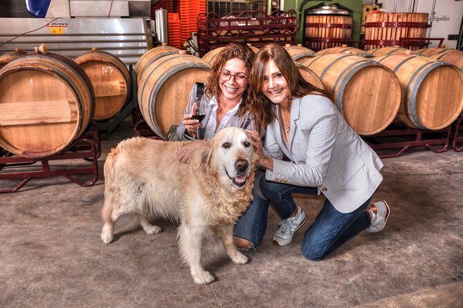 Half Day Rioja Wine Tour - Why the Half Day Rioja Wine Tour is a Must-Do