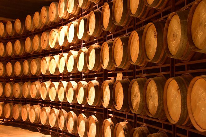 Half Day Rioja Wine Tour - How to Make the Most of It