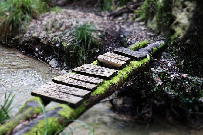 Half-Day River Trekking Stenosia from Kalamata - An In-Depth Look at the Half-Day River Trekking from Kalamata