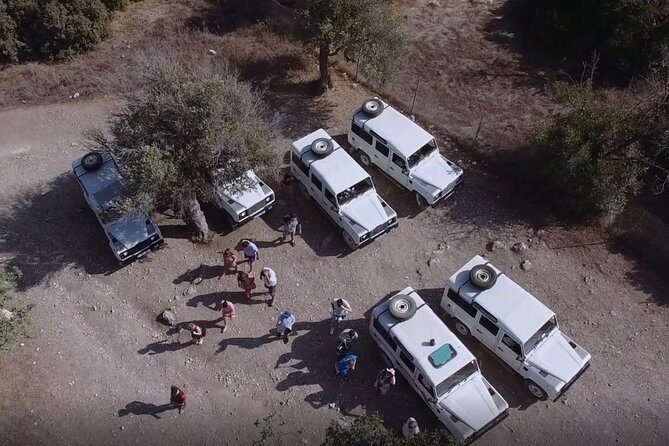 Half day Safari Tour to Akamas Peninsula from Paphos - An In-Depth Look at the Tour Experience