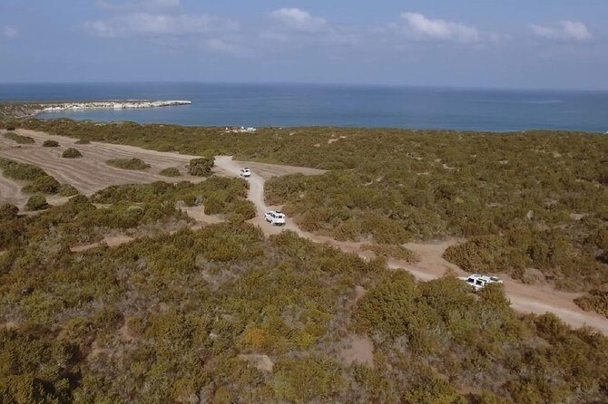 Half day Safari Tour to Akamas Peninsula from Paphos - Who is This Tour Perfect For?