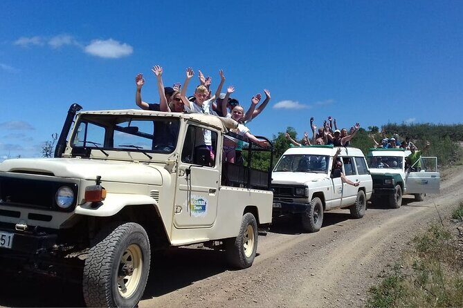 Half Day Safari Tour with Wine Tasting - Practical Tips for Future Travelers