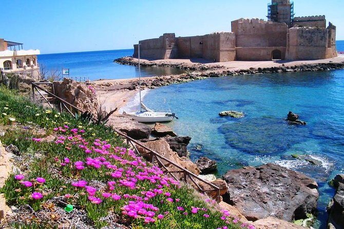 Half-Day Sailing Excursion - What Makes This Tour a Great Choice