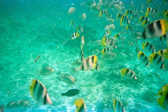 Half-Day Sailing Trip on the Lagoon of Tahiti Comments - Key Points