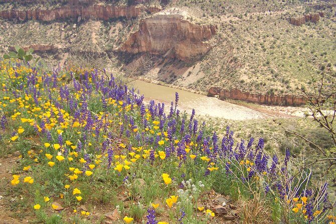 Half-Day Salt River Raft Trip - FAQ