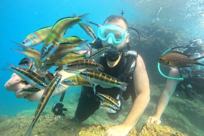 Half Day Scuba Diving @ Duden Waterfalls - FAQ