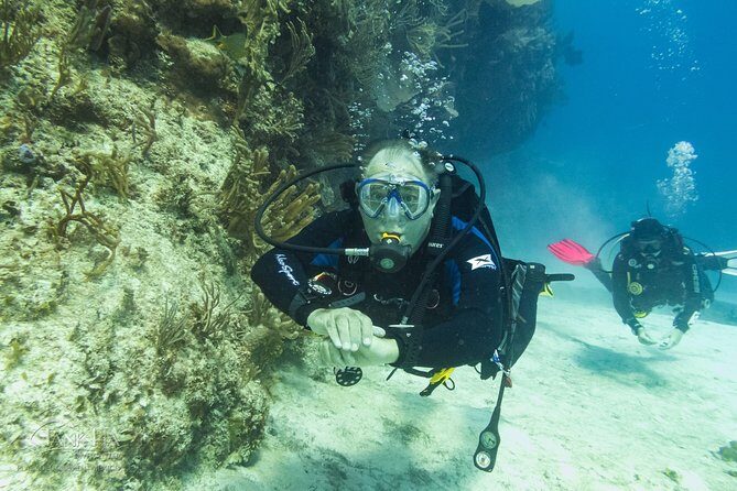Half-Day Scuba Diving in Playa del Carmen for Small-Group - Who Would Love This Experience?