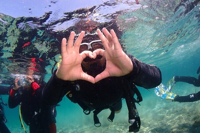 Half-Day Scuba Diving Tour - Discover Scuba Diving! - Introduction to the Experience: What Makes It Special