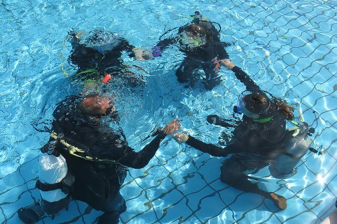 Half-Day Scuba Diving Tour - Discover Scuba Diving! - FAQs