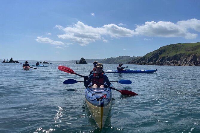 Half Day Sea kayak Guided Tour - A Closer Look at the Experience