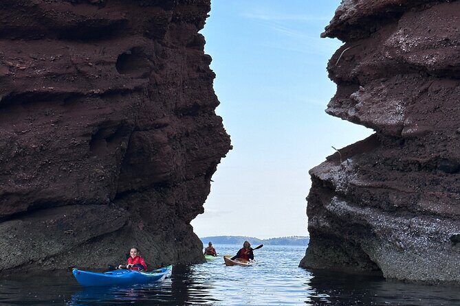 Half Day Sea kayak Guided Tour - Practical Details and Value for Money