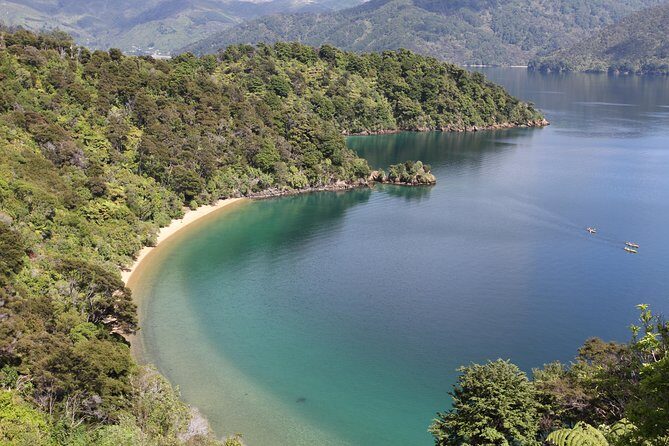 Half day Sea Kayak Guided Tour from Picton - FAQ