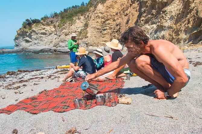 Half Day Sea Kayak Tour from Batemans Bay with Morning Tea - Final Thoughts