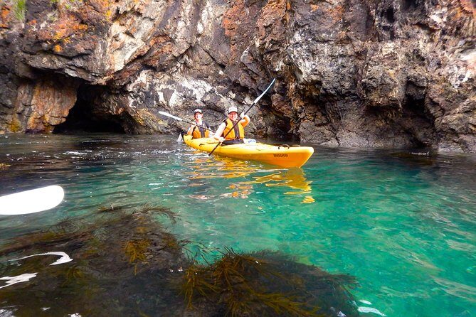 Half Day Sea Kayak Tour from Batemans Bay with Morning Tea - FAQ