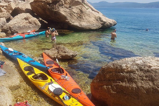 Half Day Sea Kayak Trip - Duration and Group Size: What to Expect