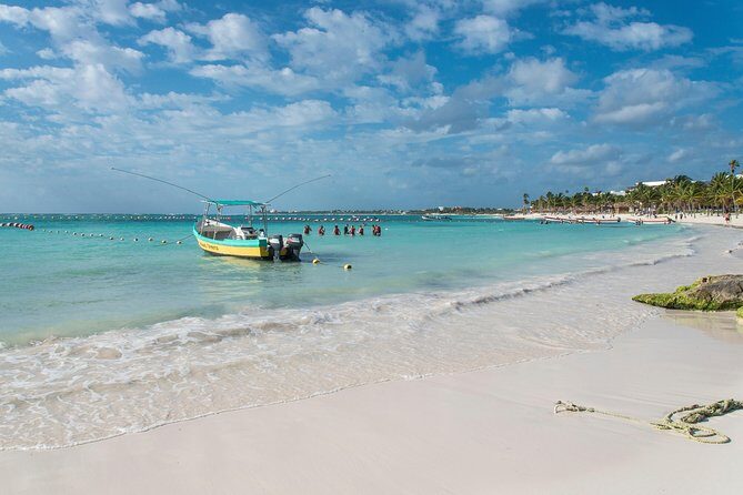 Half-Day Sea Turtle and Cenote Snorkeling Tour from Cancun & Riviera Maya - Who Will Love This Tour?