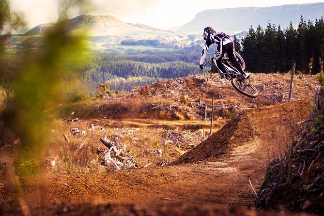 Half-Day Self-Guided Mountain Bike Journey through Whakarewarewa Redwood Forest - What You Can Expect from the Whakarewarewa Redwood Forest Bike Tour  