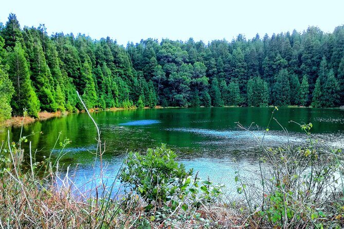 Half Day Sete Cidades Crater Minivan Tour - Weather and Cancellation Policy