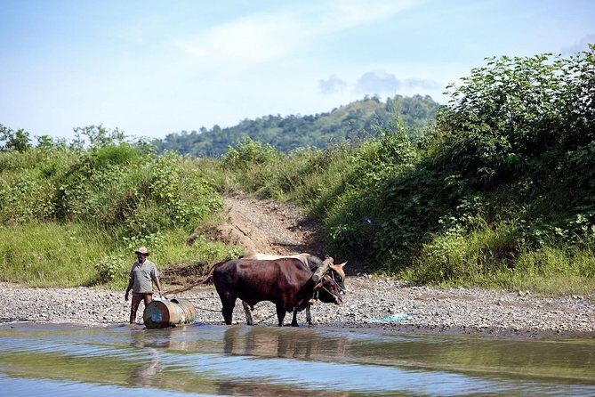 Half Day Sigatoka River Jetboat & Village Tour with Lunch & Transfers - Ending the Tour: Dance and Return