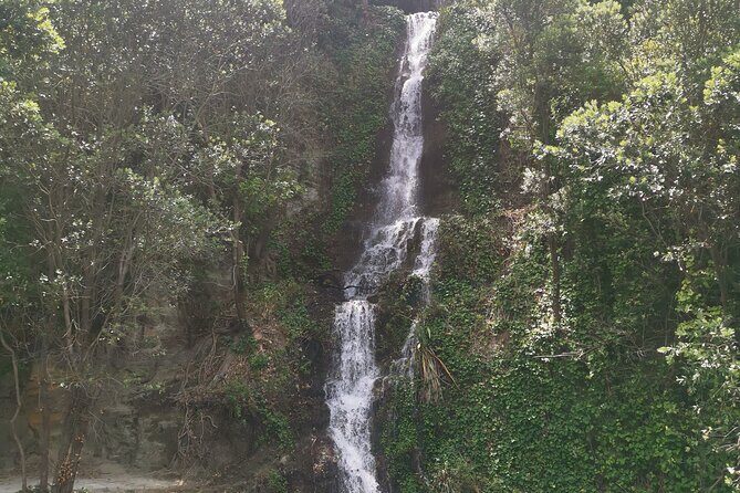 Half Day Sightseeing and Taste Tour - The Sum Up