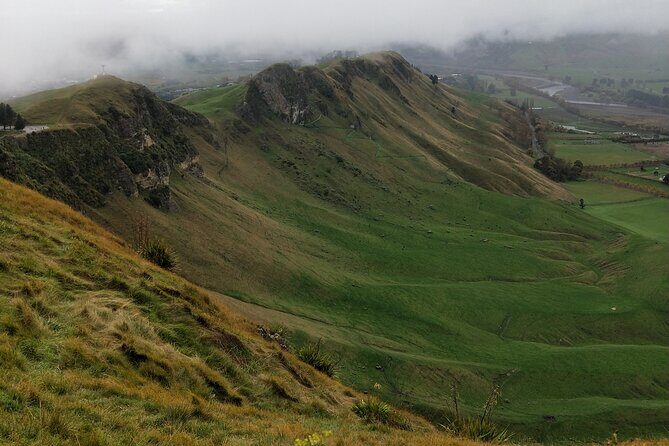 Half Day Sightseeing and Taste Tour - FAQs