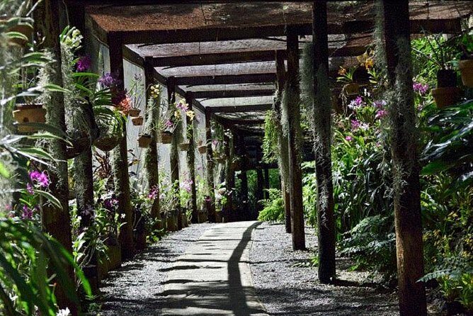 Half Day Sightseeing - Wonders of Nadi Tour - Key Points  