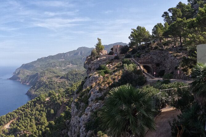 Half Day Slingshot Tour from Paguera - Key Points: