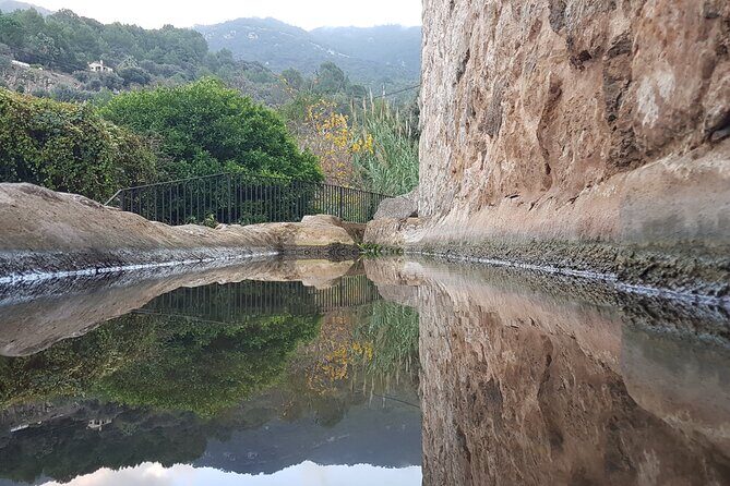 Half Day Slingshot Tour from Paguera - An In-Depth Look at the Slingshot Tour Experience