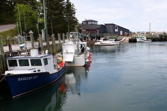 Half-Day Small-Group Tour of Annapolis Valley - Practical Tips for Booking and Enjoying the Tour