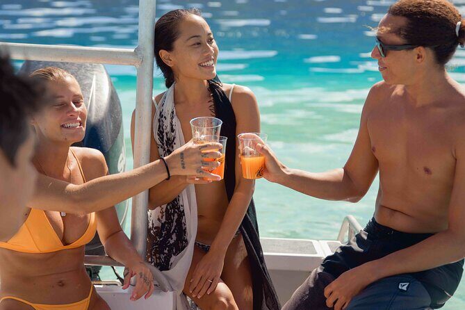 Half Day Small Group Whale Watching - Key Points