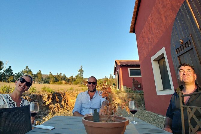 Half-Day Small-Group Wine Experience with Wine Expert from Cagliari - A Deep Dive into the Sardinian Wine Journey