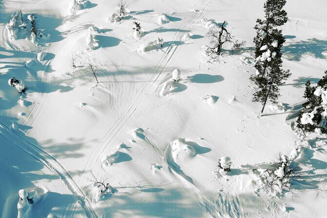 Half Day Snowshoe Hiking Adventure in Levi Lapland - Photography & Memories