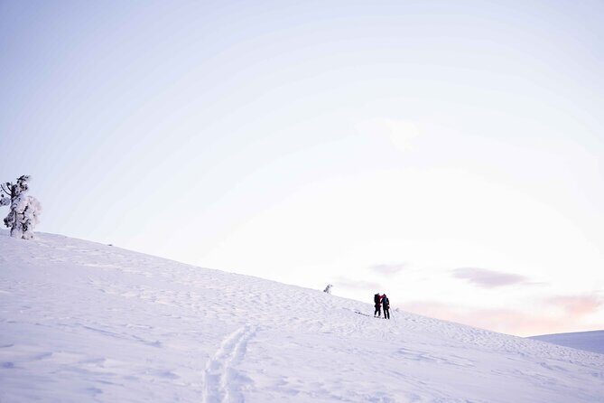 Half Day Snowshoe Hiking Adventure in Levi Lapland - Transport & Group Dynamics