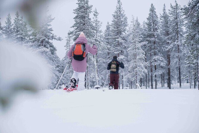 Half Day Snowshoe Hiking Adventure in Levi Lapland - Who Should Consider This Tour?