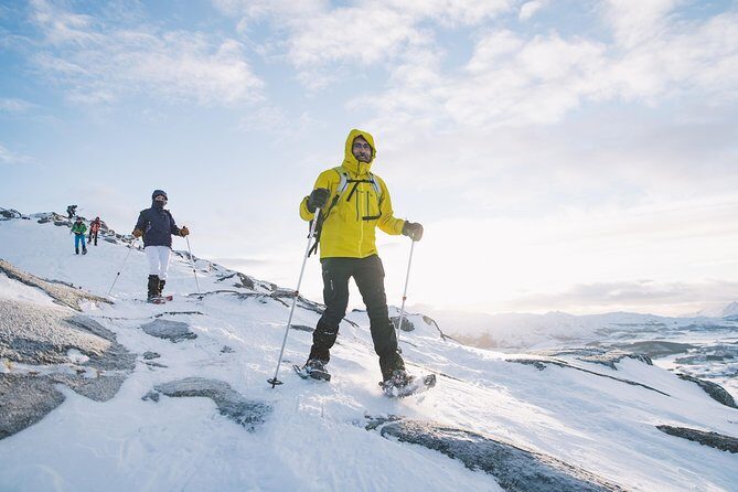 Half Day Snowshoe Tour - Meeting Points and Schedule