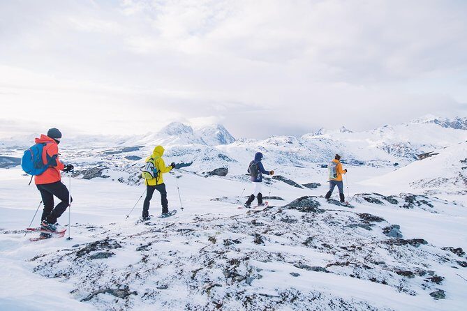 Half Day Snowshoe Tour - The Value of the Tour