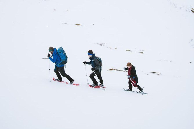 Half Day Snowshoe Tour - Who Should Book This Tour?
