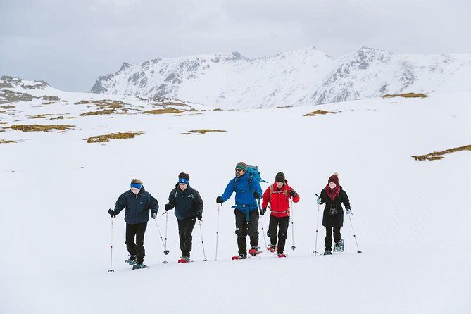 Half Day Snowshoe Tour - Final Thoughts: Is It Worth It?