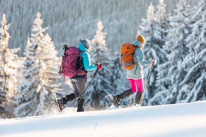 Half-Day Snowshoe Trip from Prague - A Snowshoe Adventure Near Prague: A Detailed Look
