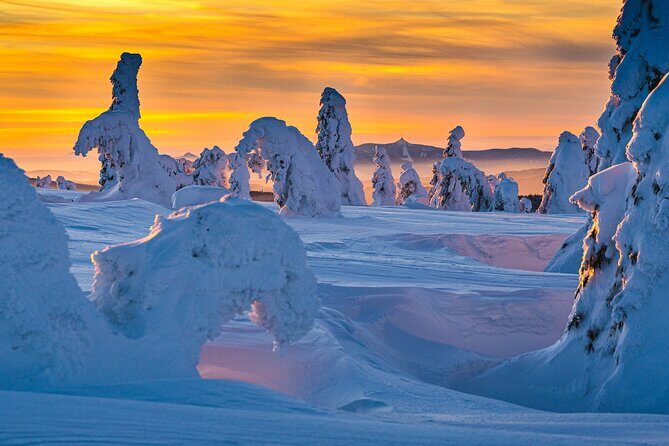 Half-Day Snowshoe Trip from Prague - Key Points