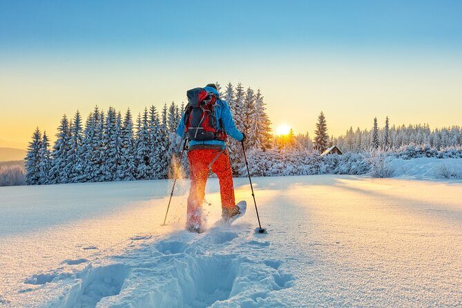 Half-Day Snowshoe Trip from Prague - Final Thoughts