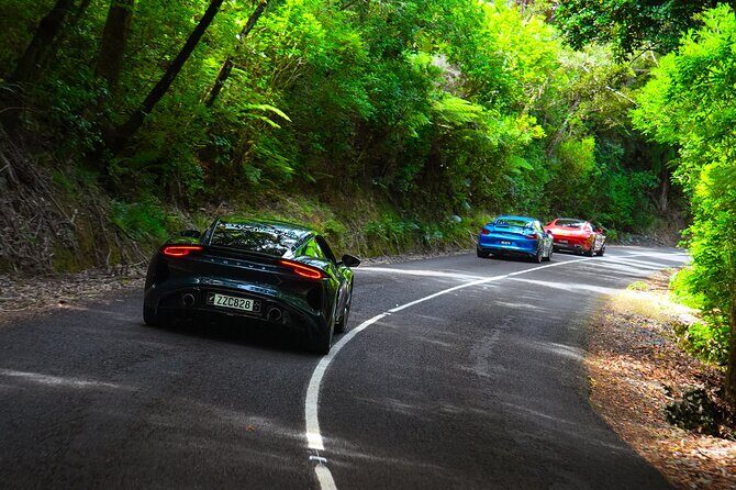 Half-Day Supercar Drive Experience from Auckland - Authentic Insights from Reviewers